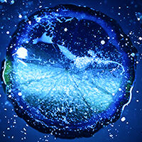 Angel Stellar Eau de Parfum l Refillable Fragrance l Mugler UK